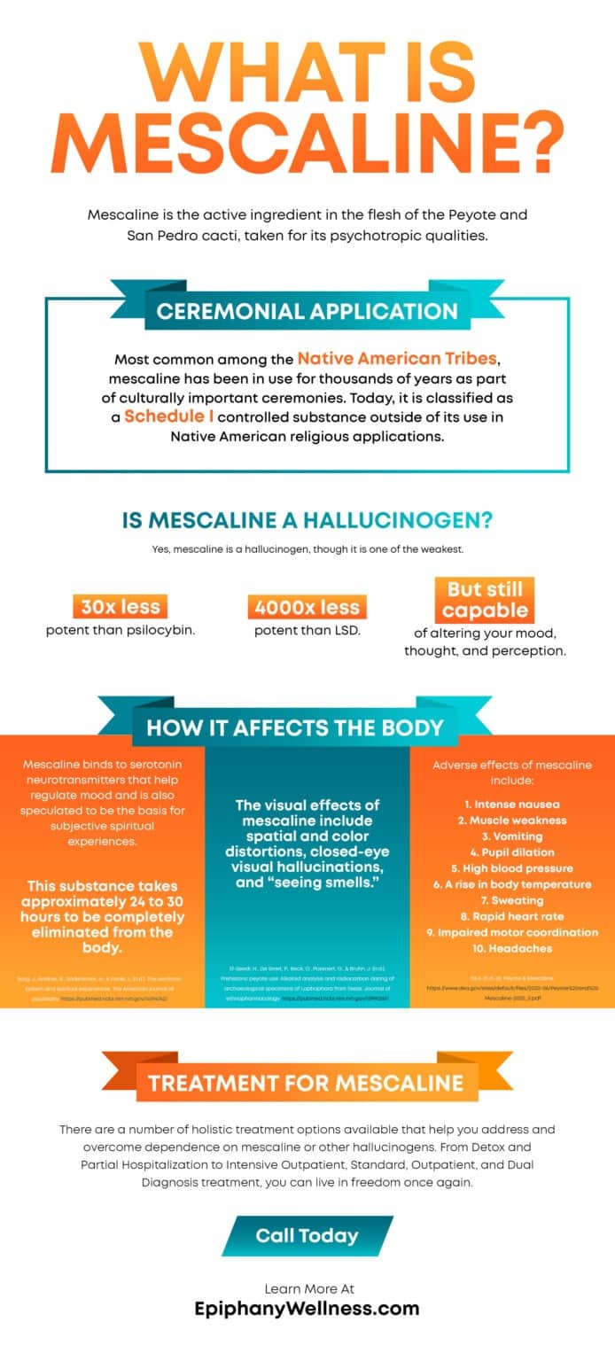 What Is Mescaline? Usage, Side Effects, and Health Risks