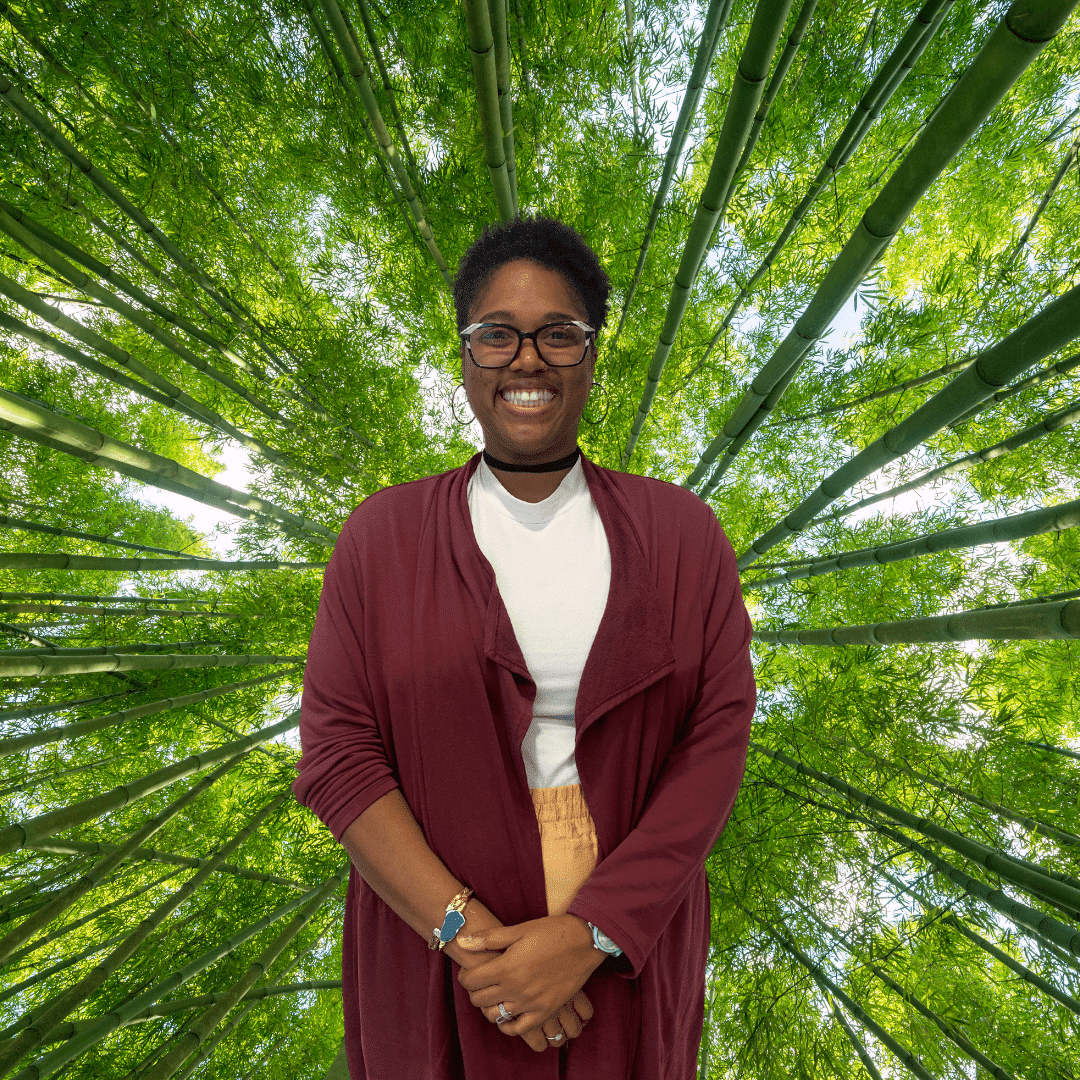 Our Addiction Treatment Team: Epiphany Wellness Centers